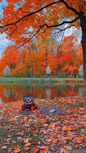 1K views · 78 reactions | Autumn in Russia is more than just a season...