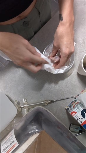 2nd feed, doesn't take much atm | Stacey’s love of Birds