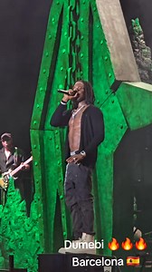 793K views · 73K reactions | Rema’s show in Barcelona Spain  is lit as #reelsvideoシ #reelsviralシ #reelsfypシ #music #love #rema | Mml Rac | Facebook