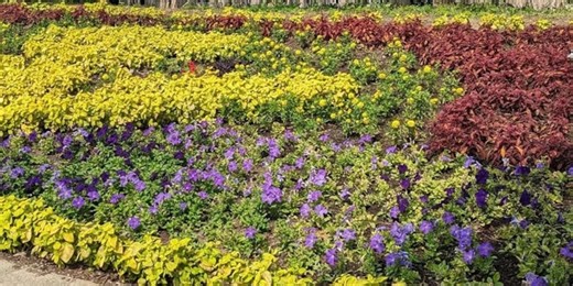 Quilt Gardens in Elkhart County in full bloom