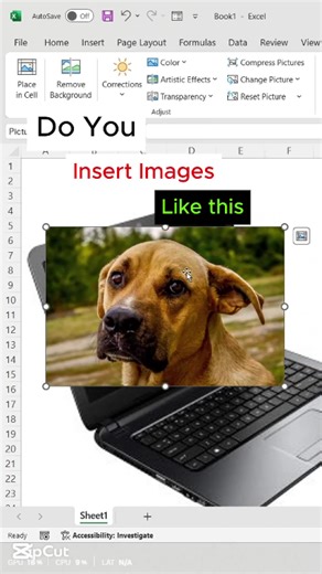 Mastering Image Insertion in Microsoft Excel