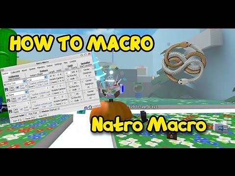 How to download and use Natro Macro | Bee Swarm Simulator