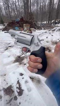 Smith & Wesson Governor with 45 Colt +P BEAR LOADS 🐻💥#bear #defence #45pistol