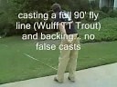 Oyster Bamboo Fly Rod casting 100 feet