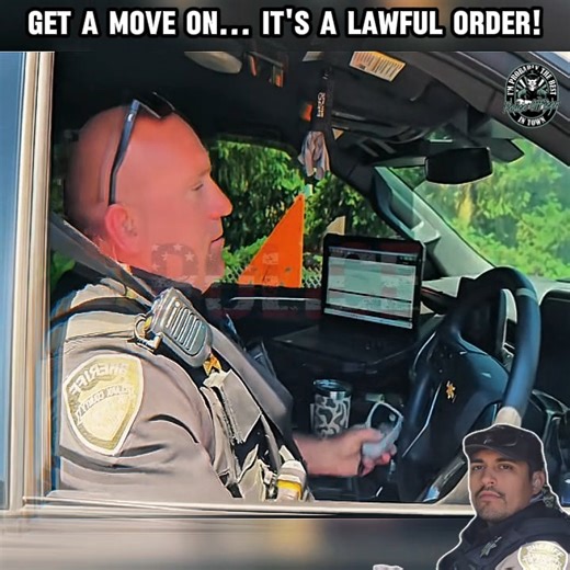 8.1K views · 119 reactions | Get a move on... It's a lawful order!. | Even | Facebook