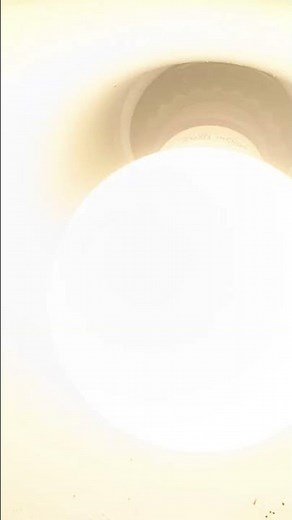 THINK FAST CHUCKLENUTS