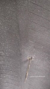 450K views · 3.7K reactions | Truck tire repair process. #auto #automobile #automechanic #trucks #tire #mechanicmike | Mechanic Mike | Facebook