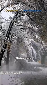 What type of snow do you like?❄️⛄️ #snow #shorts