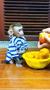 84K views · 3.6K reactions | [Watch & Learn] Whiz KId Maddox Mesmerized Watching Mom Peel Oranges Patiently | Nun's Life | Facebook