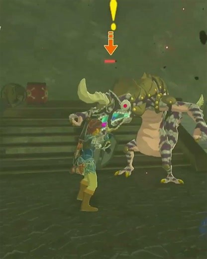 Zelda Breath Of The Wild #BOTW #Shorts 231