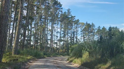 How rude my Mohi for burping on the side of me 🤣🤣🤣🤣🥰🥰🥰🥰😭😭😭😭❤️❤️❤️💜💜💜 Sometimes it takes a tragedy for decisions to be made and finding a date for my Mohi was a decision I couldn't get my head around it was a decision that I had to be comfortable with otherwise it wont work. And yes it did take Mauao to help me decide a date for my husband Mohi's unveiling which will be held on 22 January 2027 @ 9.45am up at his urupa and from their we will head out opposite Mauao for a feast a cel