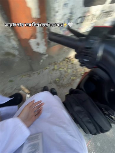 Understanding Account Recovery Methods on CapCut