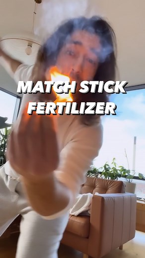 Armen Adamjan on Instagram: "Match Sticks = Plant Magic! 🤩🌱 NOTE: IF YOU ENJOY, My Plant Tips/Tricks, learn more with my official Plant Books! 📚 Available on my website: CreativeExplained.com! 🙌 . . #matches #plantbased #garden #gardening #plants #plantsofinstagram #gardenlife #lifehack #hacks #diy #recycle #sustainableliving #howto #plantfood #growyourownfood #plantstagram #creativeexplained #magic #organicgardening #instadaily #tiktokstar"