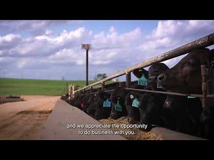 The All New Allflex A-Tag Feedlot