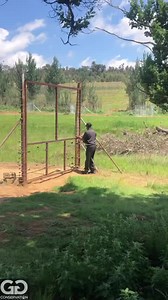 1.6M views · 9.7K reactions | Lion Introduction Exciting stuff at gg...