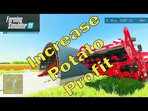 Long Term Potato Storage: Boost Your Profits!