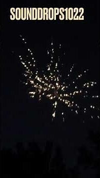 Mesmerizing Firework Ambience: A Burst of Color and Sound #shorts