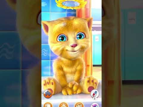 🪞😹 Ginger Sees Himself and Freezes! 😳💭