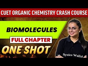 Biomolecules - FULL CHAPTER | Everything Covered | Class 12th | CUET Crash Course