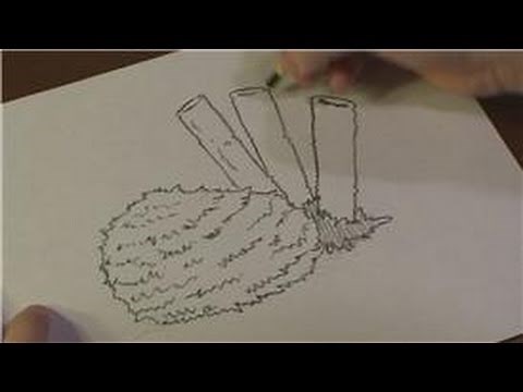 Drawing Lessons : How to Draw a Sea Sponge