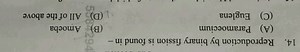 Reproduction by binary fission is found in -(A) Paramoecium(B... | Filo