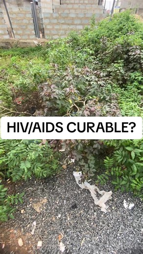 51K views · 1.8K reactions | Cure HIV/AIDs In 90 Days | Uses Of Herbal Medicines | Facebook