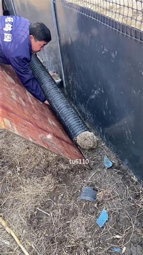 The Art of Free-Range Rabbit Farming: Raising Healthy & Happy Bunnies