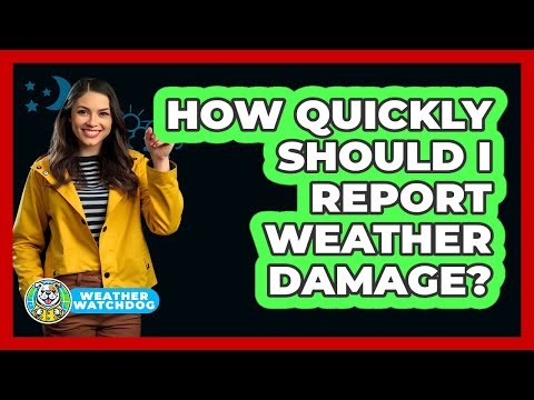 How Quickly Should I Report Weather Damage?