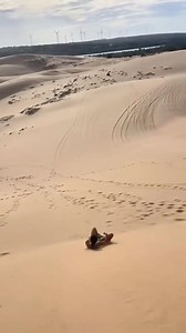 22K views · 136 reactions | #Apt #阿爸知 | 大富貴 | Facebook