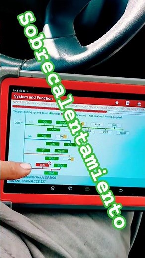 Engine overheats, how to protect it? Now it's cold. Why? See video and codes P0123 P01F0