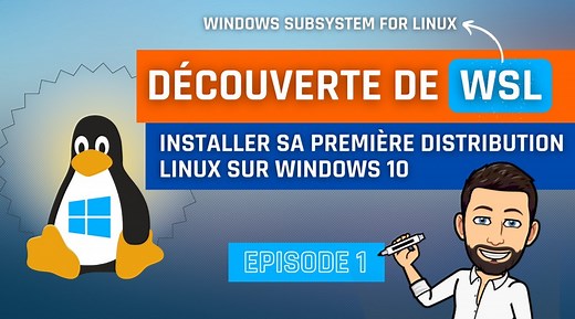 Installer WSL 2 sur Windows 10 | IT-Connect