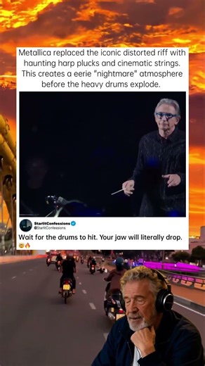 When Heavy Metal meets a Harp 🎻🎸 #Metallica #EnterSandman #Orchestra #RockLegends #symphony
