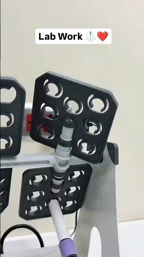 Lab work 🥼🔬🩸❤️🔥🥰||blood smear under microscope/Lisman stain procedure/smear preparing