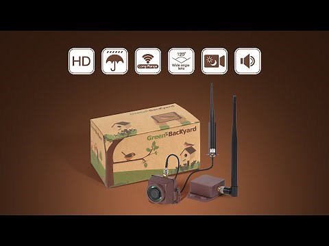 How to setup Long Range Wireless bird box camera