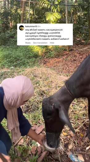 Rana.murshid on Instagram: "First ഇട്ട വീഡിയോ താനെ delete aayi..mooper cmmntum delete ആക്കി 🚶‍♀️🥲 #reelsinstagram #malayalam #instafit #malappuram #instagood #viral #hijab #couple #insta"