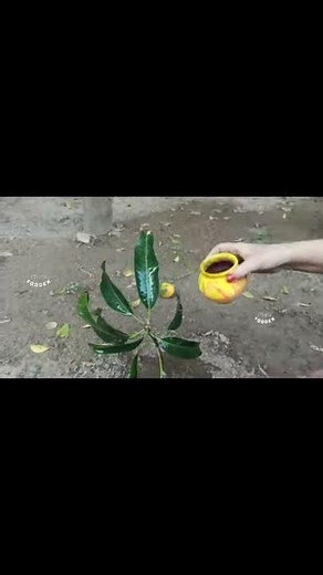 Miniature Aloo Cutles | Miniature Food Cooking | Mini Food | Tiny Cooking | Tiny Foodkey