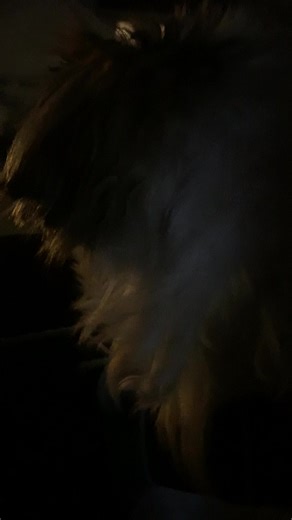 Gpa_kevin (@gpa_kevin)’s videos with original sound - Gpa_kevin