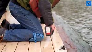 60 reactions · 15 shares | These floating homes will change how you think about waterfront property. | Zillow | Facebook