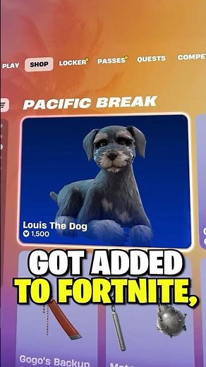 This DOG Got Added, But It's Owner HATES It.