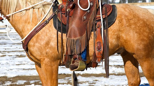 Why Do Cowboys Wear Chaps? A Comprehensive Guide