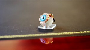 The Bionic Eye | Steven Cantor