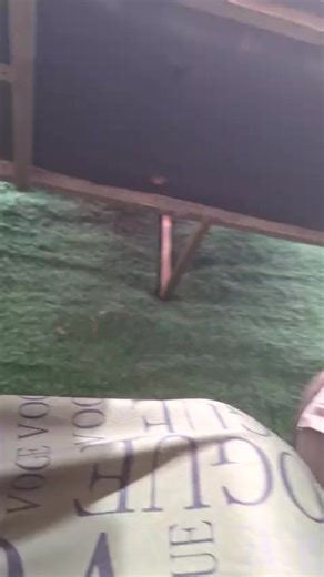 #Phumlani skeyi #mkhontowesizwe #sama28 #tiktokviral