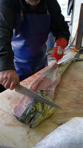 Clean & Cut: Mahi Mahi Steak Filleting for Beginners