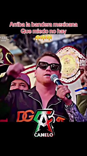 Canelo Alvarez Boxing Highlights and Victories