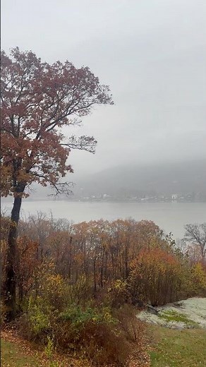 Fog & Falling Leaves on the Hudson | A Rainy Fall Day at Home 🍁🍂🌧️