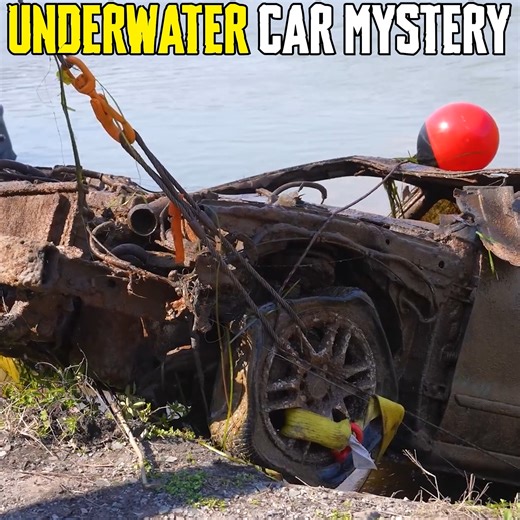 21K views · 297 reactions | A Car Lost for Decades? | Wrecked & Recovered | Facebook