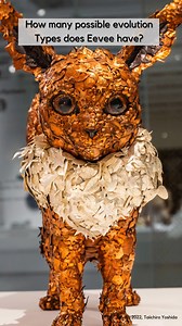 23 reactions | Q. Eevee is known for its multiple evolution forms,...