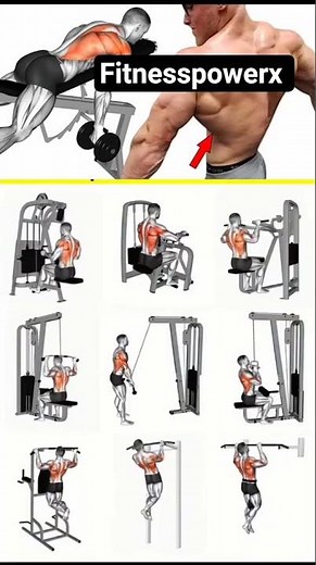 Super Back Workout | Build Wide & Powerful Back 💪🐍