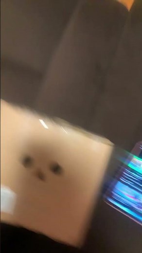 My own box head cosplay!