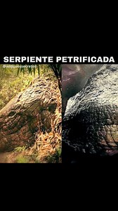 189K views · 9.9K reactions | Los gigantes, los dioses, los...